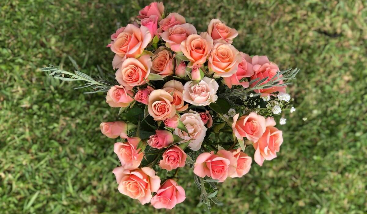 Intresting Facts about Roses | Flower Tips | Beato Blog